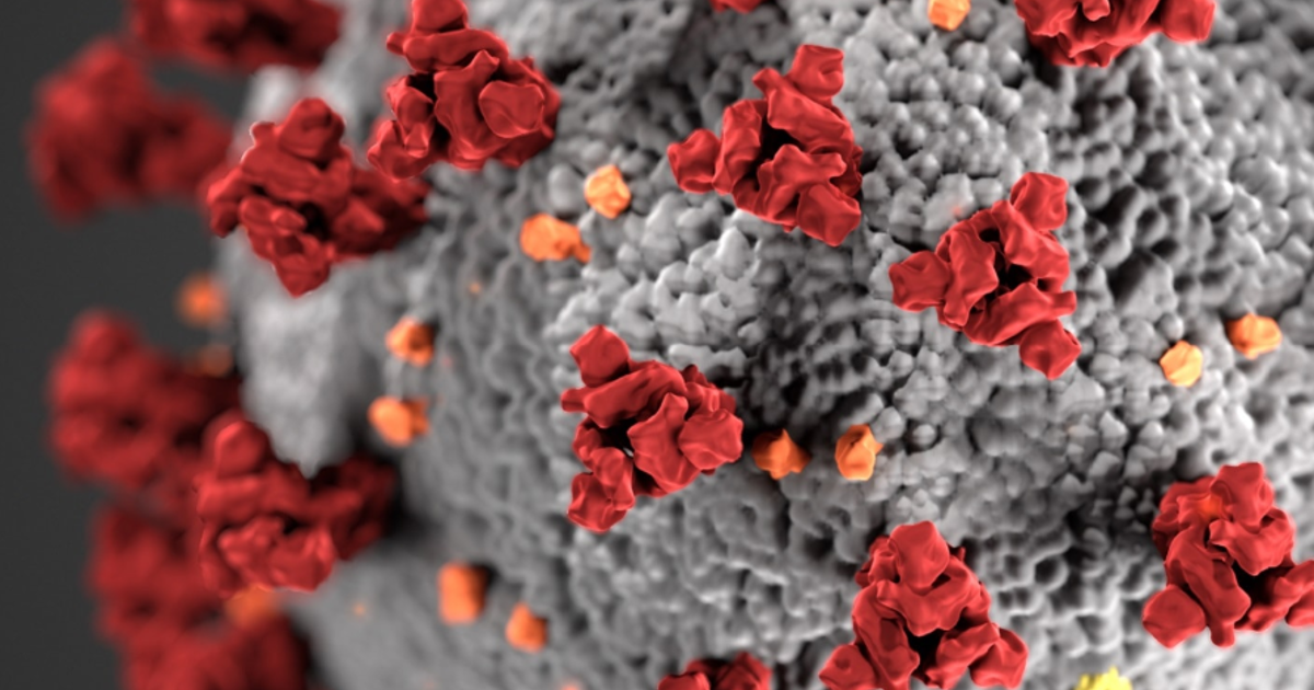 Samlet overblik over coronasmitte - Regeringen.dk